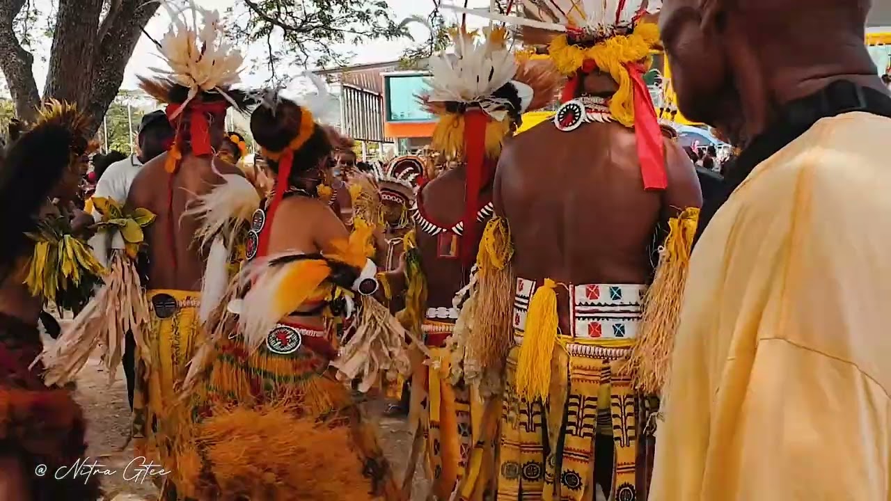 Kairuku (Waima) Views - YouTube