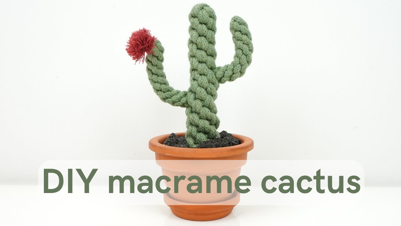Craft Your Own Adorable Macrame Cactus in No Time! - step by step ...
