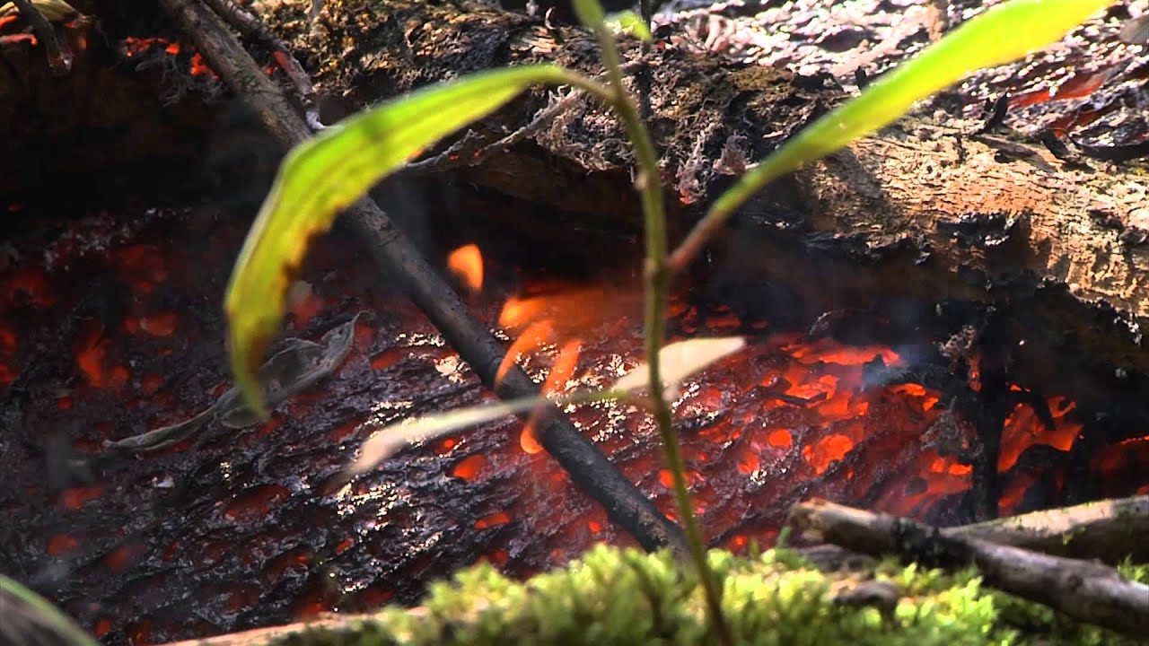 Lava flow burns vegetation above Pahoa - YouTube