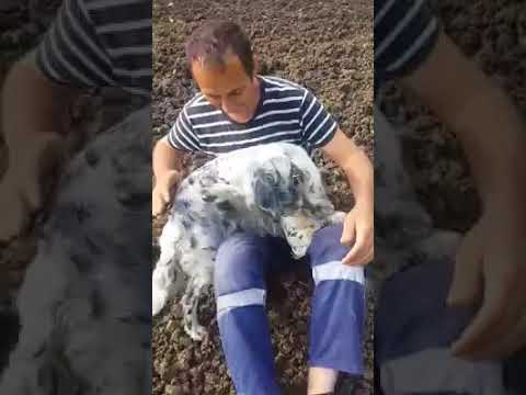 İnanılmaz sevgi gösterisi