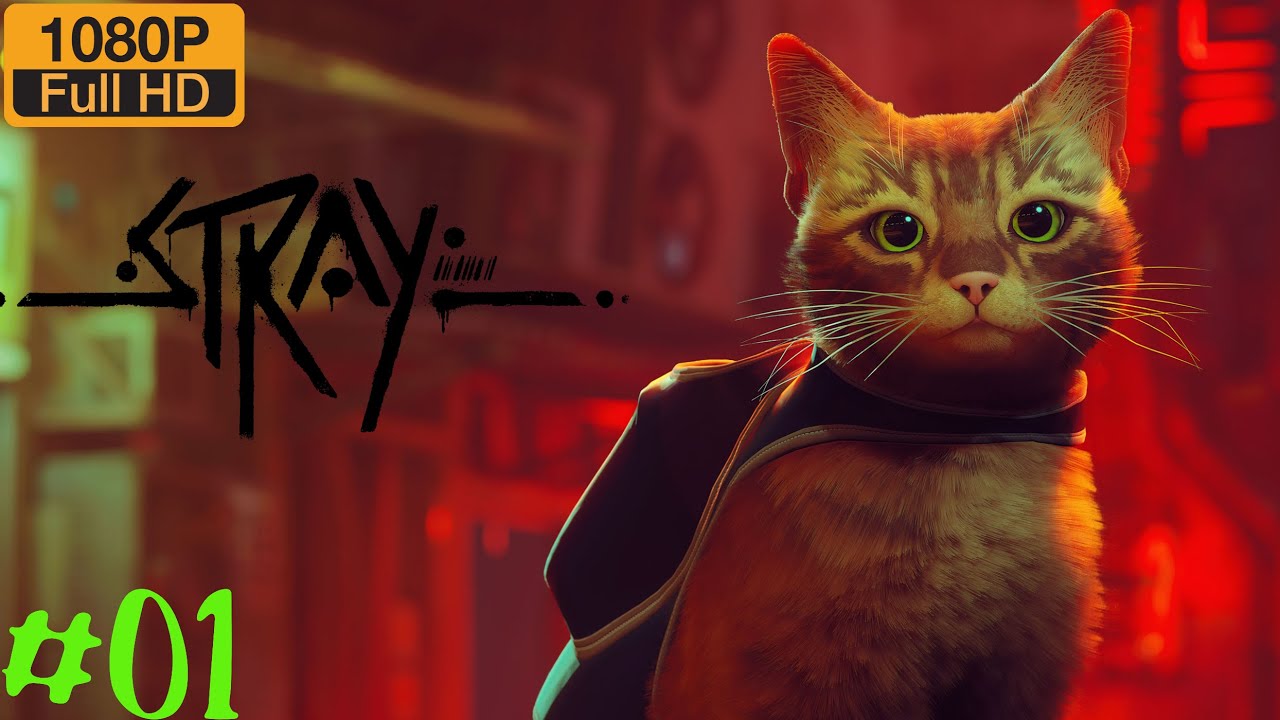 STRAY - INSIDE THE WALL WALKTHROUGH GAMEPLAY 01 - YouTube