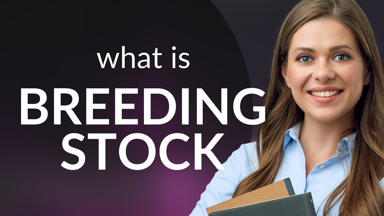 Understanding "Breeding Stock": An English Learning Guide - YouTube