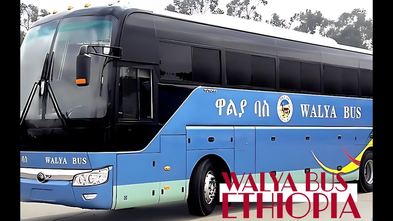 Addis Anbessa/ Walia bus to home conversion - YouTube
