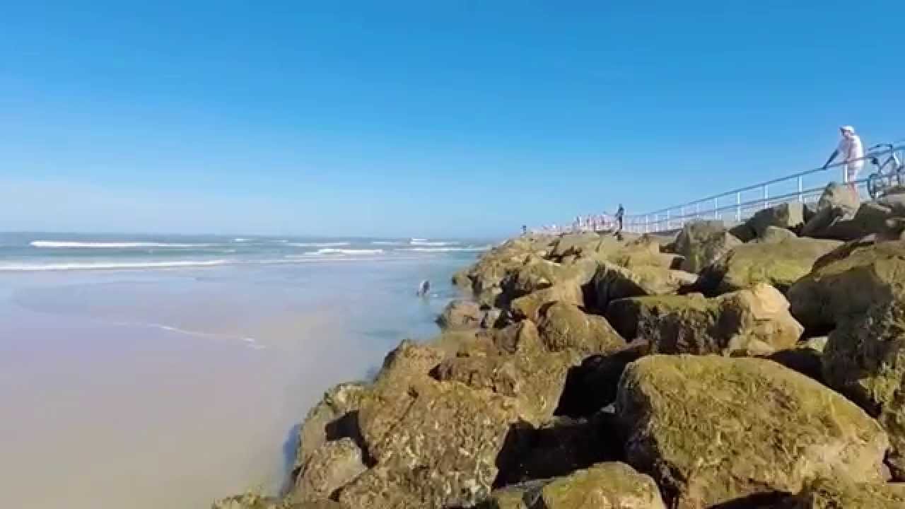 GoPro - Sharks at Ponce Inlet - Drone - YouTube