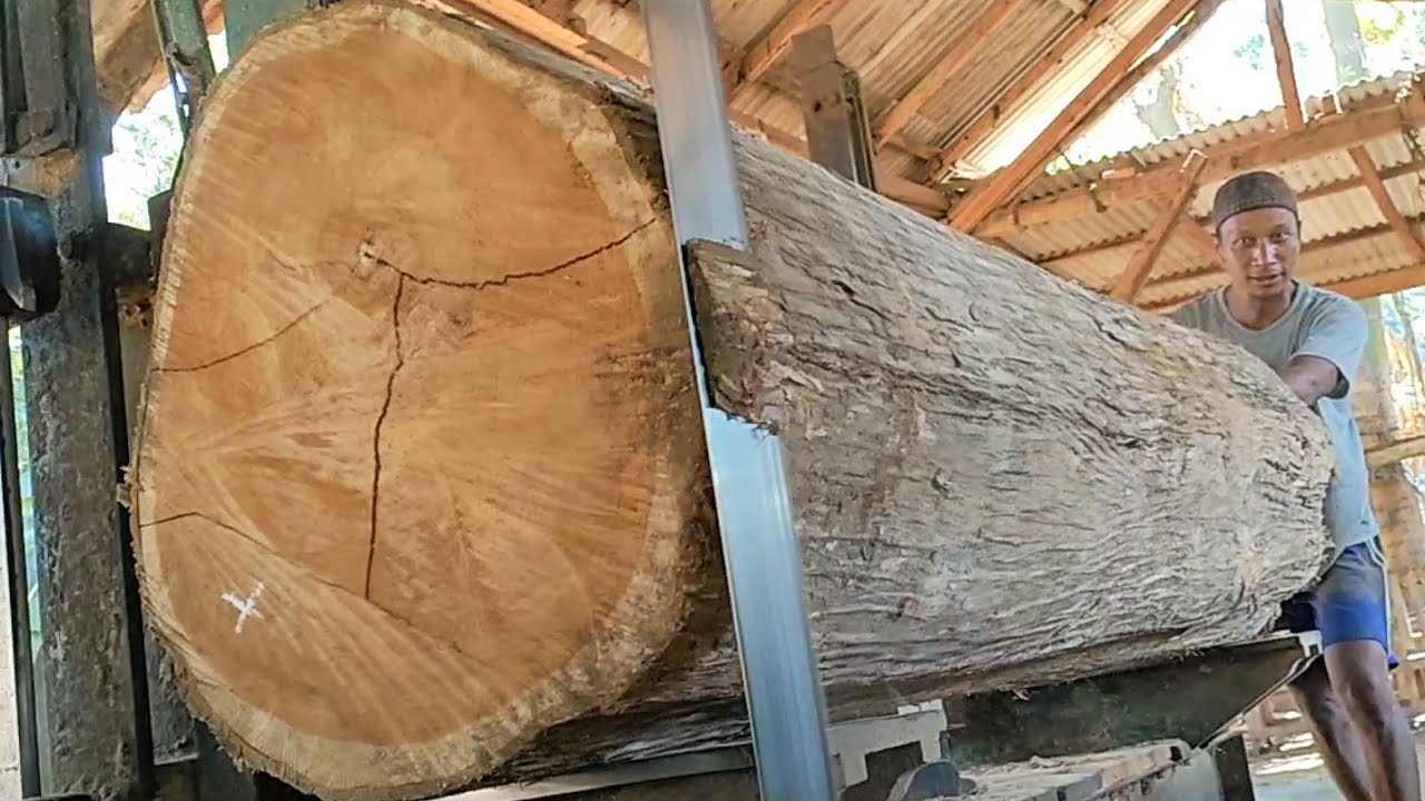 giant old teak wood sawn into beautiful and smooth grained blocks - YouTube