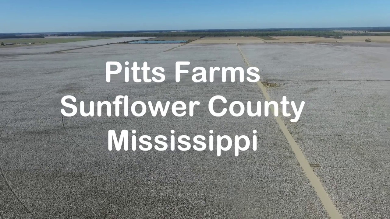 Pitts Farms Cotton Harvest 2017 - YouTube