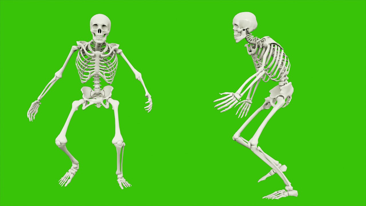 Free footage. The skeleton runs. Seamless loop animation on green ...