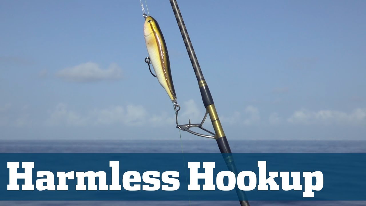 Barbless Hooks - Florida Sport Fishing TV - Tackle Tip For Releasing ...