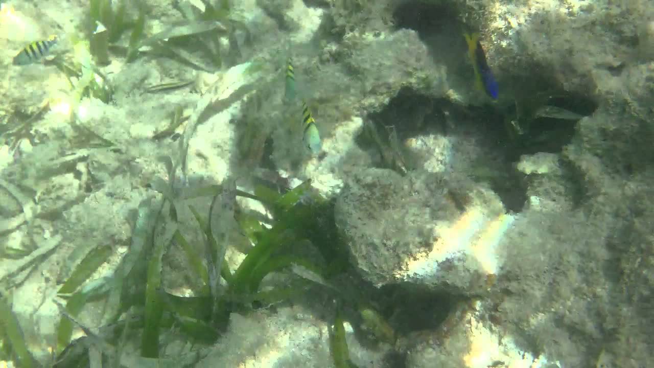 Melones Beach Culebra, PR21 - YouTube
