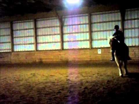 A stubborn horse walks behind you, an impatient horse walks in front of ...
