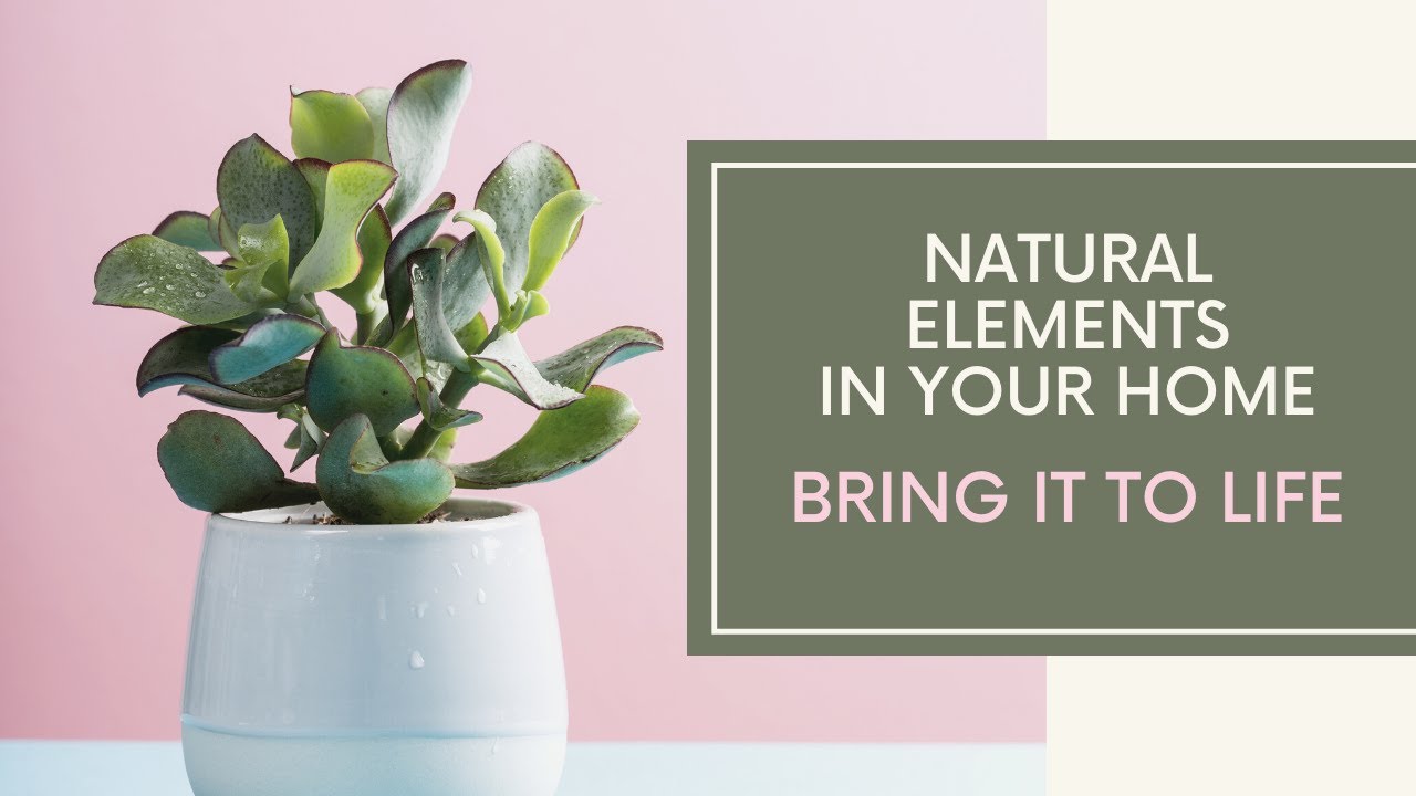 Natural Elements In Your Home - YouTube