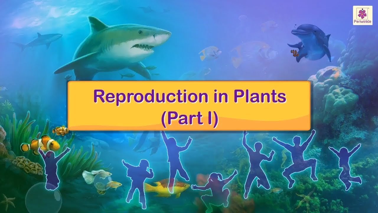 Reproduction In Plants | Science For Kids | Periwinkle - YouTube