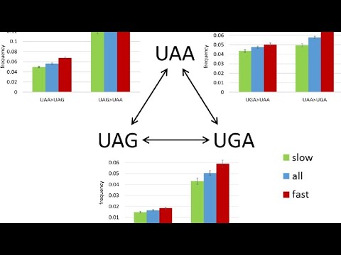 Best trick for stop codon|| very simply way|| NEET 2020 - YouTube