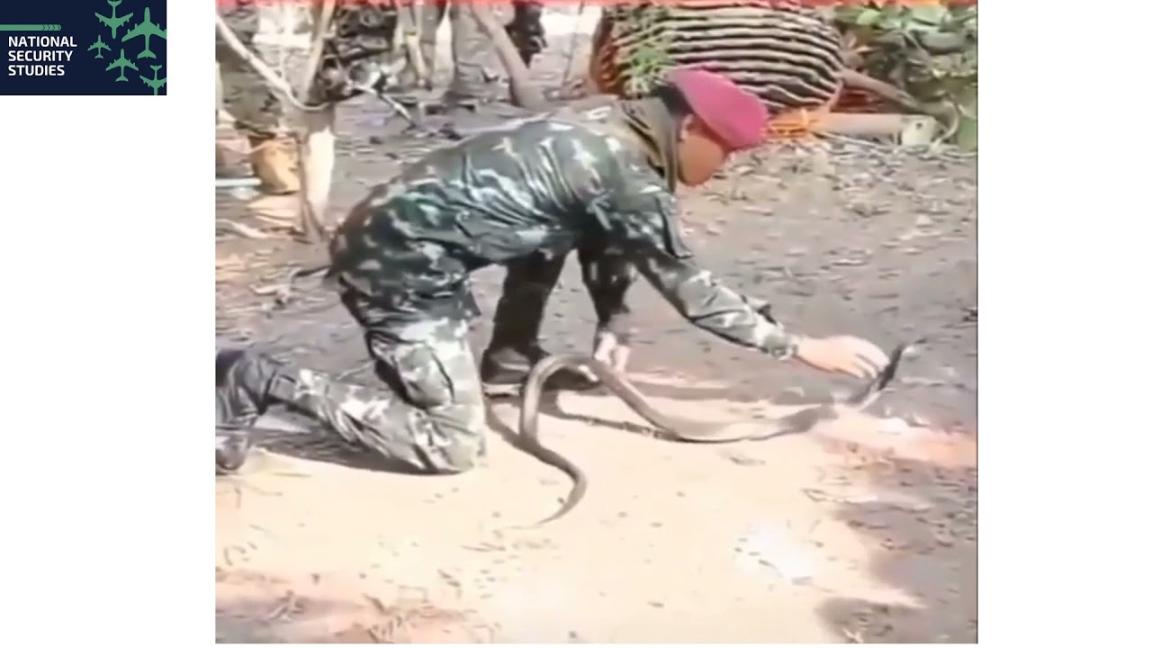 PARA SF Snakes Handling Training. Para Commandoes Indian Army Fear test ...
