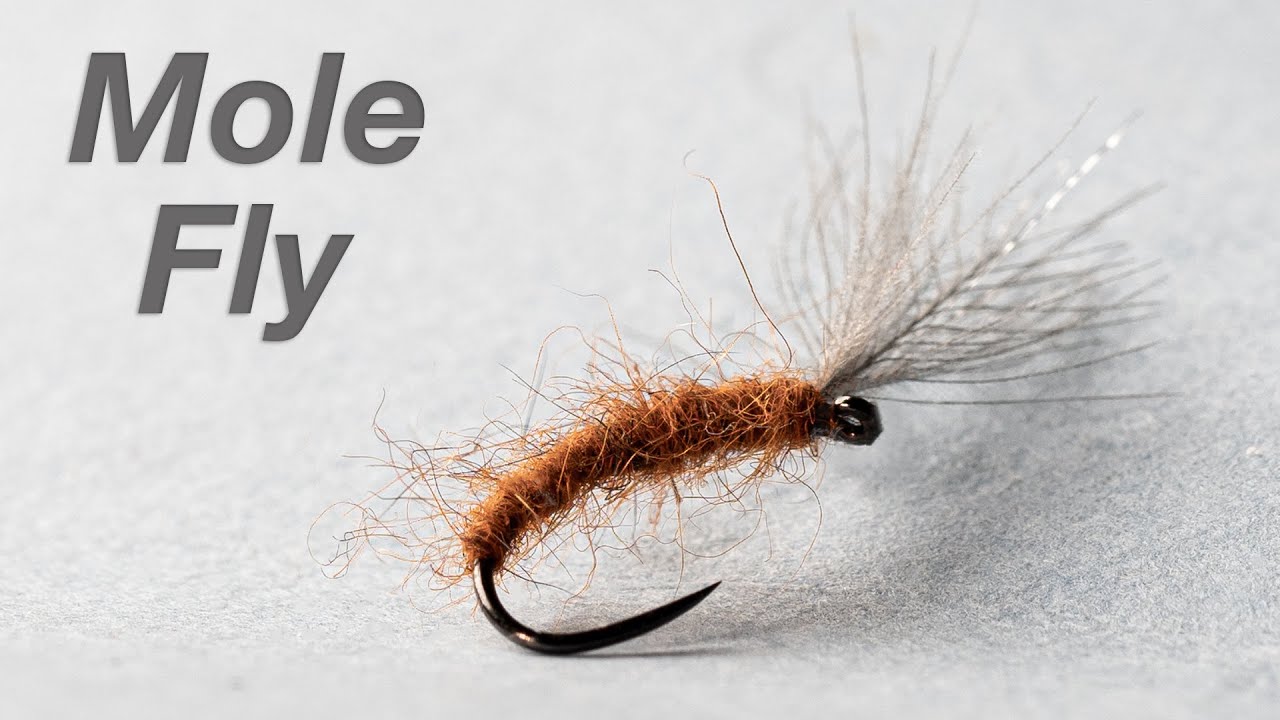 Mole Fly - YouTube