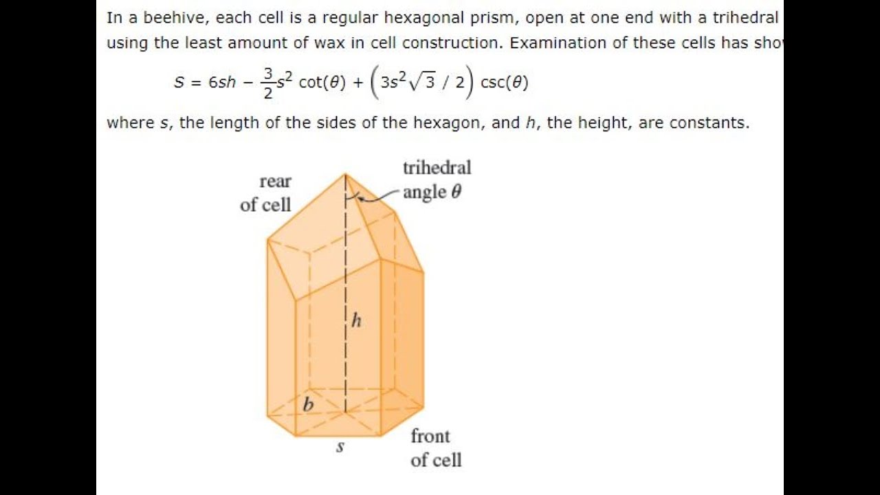 A Beehive Each Cell Is A Regular Hexagonal Prism Open At One End With A Beehive Each Cell Is A Regular Hexagonal Prism Open At One End With