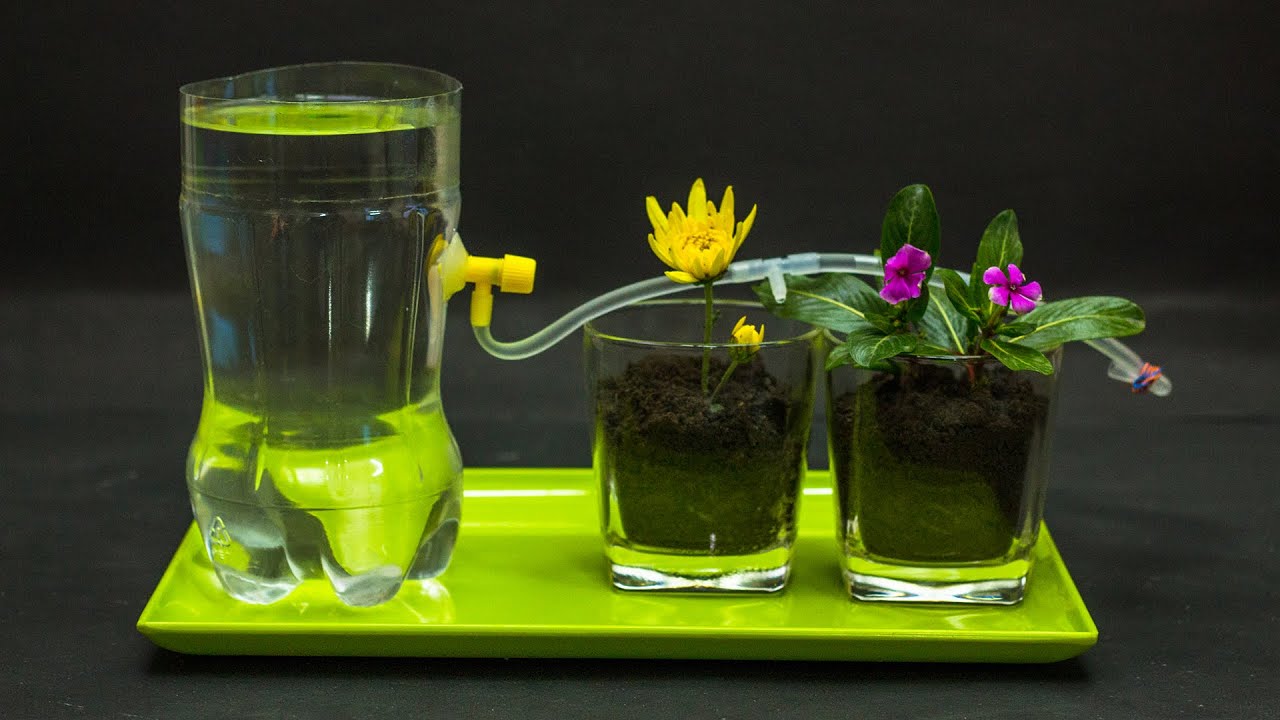 School Projects | Drip Irrigation Model - YouTube