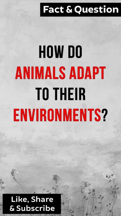How do Animals adapt to their Environments? #factshorts - YouTube