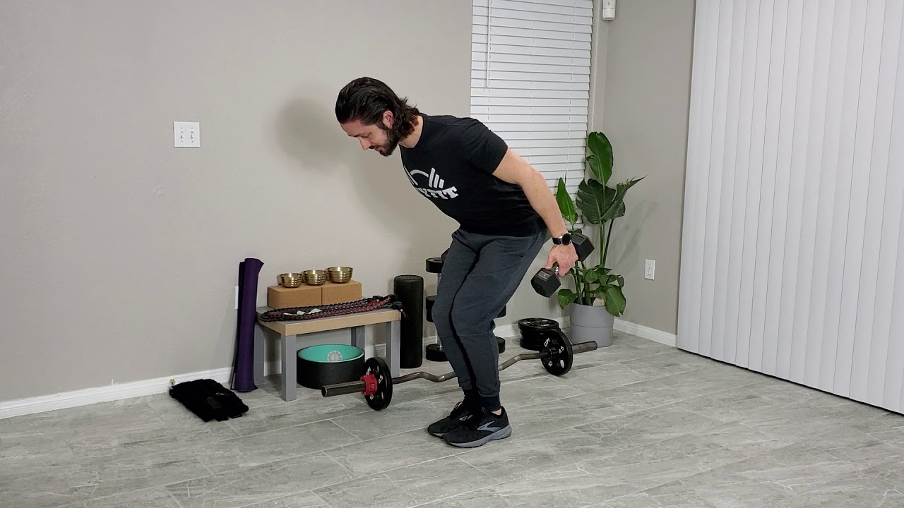 Dumbbell Lat Extensions (CORRECT FORM) myFIT Personal Training.mp4 ...