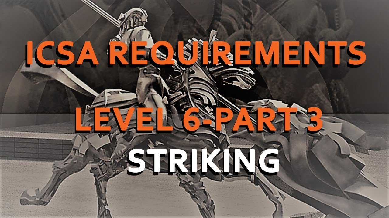 Combat Systema Level 6 Striking - YouTube