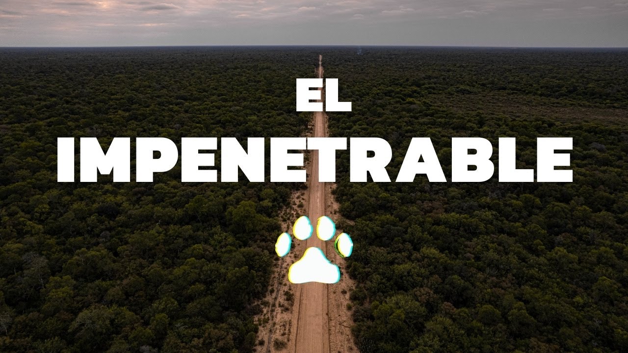 Cómo visitar EL IMPENETRABLE (Chaco) 🐢🐍🐆 - YouTube
