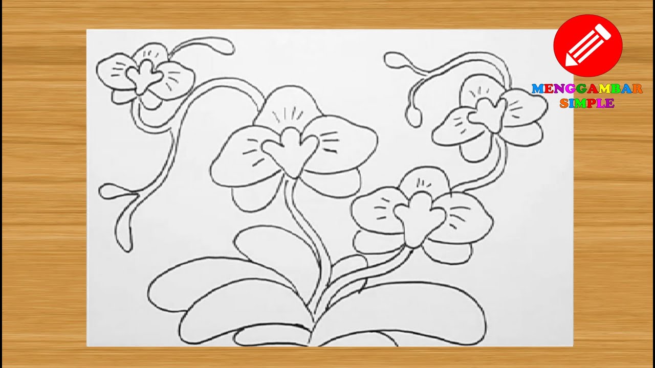 Sketsa Bunga Anggrek