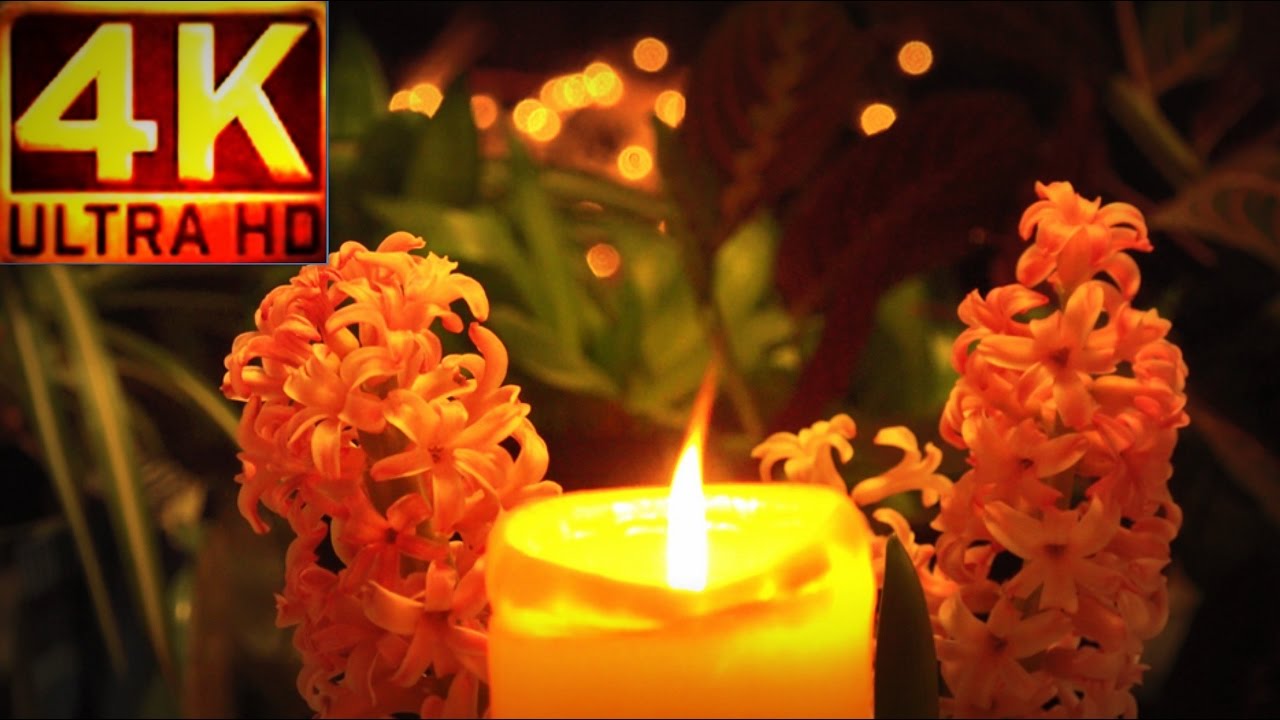 4K LIVE Candle burning - YouTube