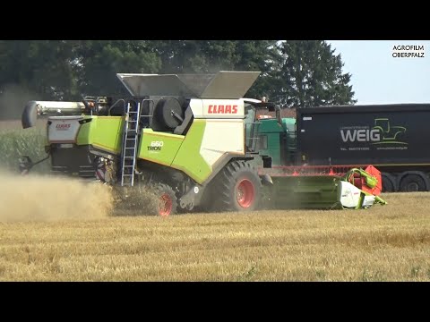 Hektarjagd im Getreide - Claas Trion 660 - Lohnunternehmen Weig - Dreschen 2025