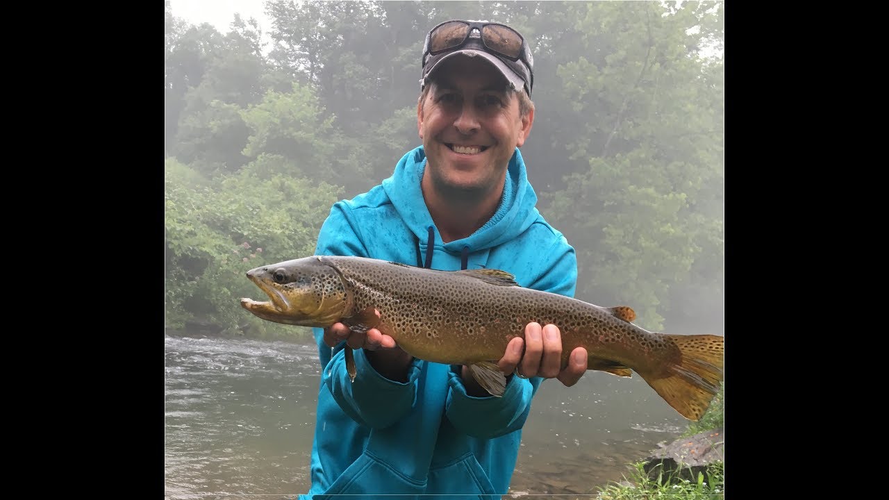 A 20 Inch Brown trout from the East Branch of the Delaware River - YouTube