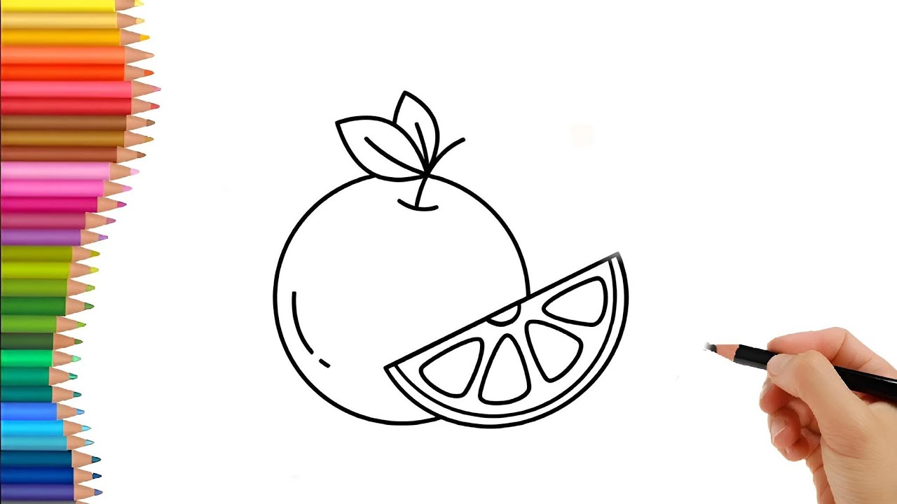 How to draw an Orange | Orange Drawing step by Step - YouTube