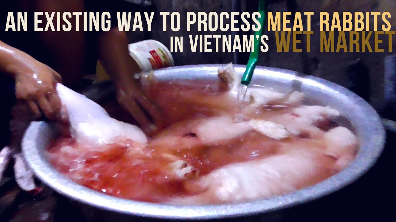 Meat Rabbits for 20 USD street food - How to process meat rabbits in ...