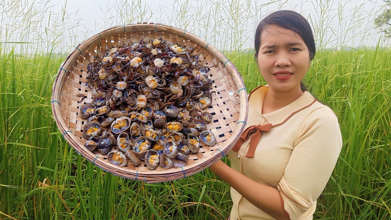 Catch crab at rice field for my recipe, stir fried field crab with ...