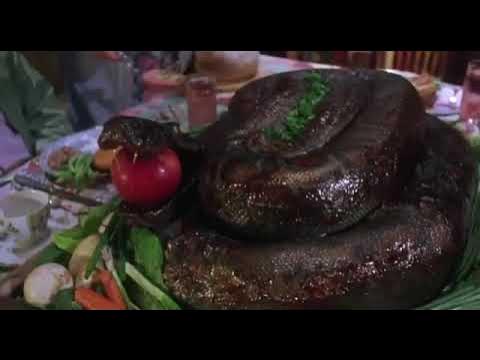 The Waterboy - Snake Dinner - YouTube