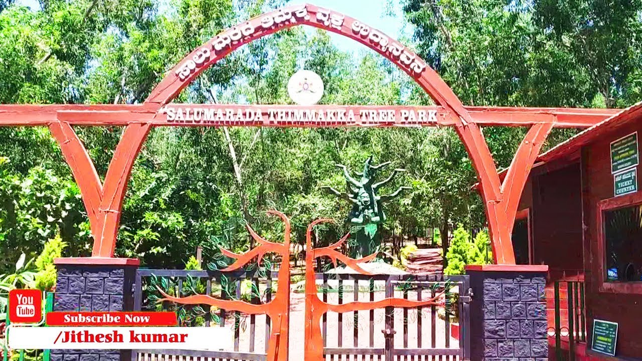 Manipal Tree Park | ಸಾಲು ಮರದ ತಿಮ್ಮಕ್ಕ ಉದ್ಯಾನವನ | Best place to Visit ...