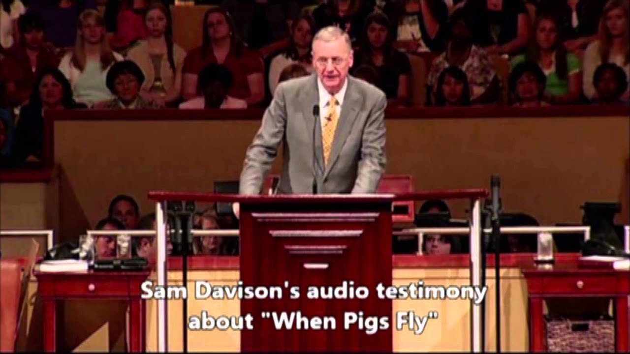 Sam Davison When Pigs Fly - YouTube