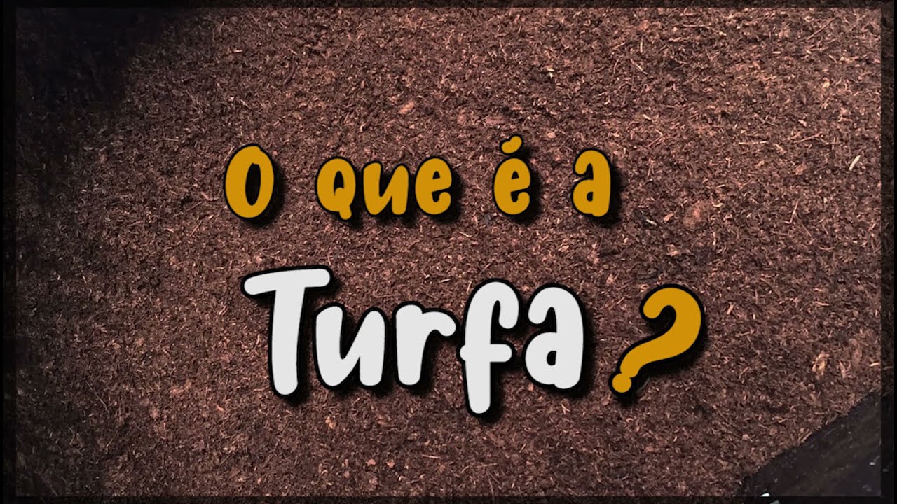 O que é a Turfa? - YouTube