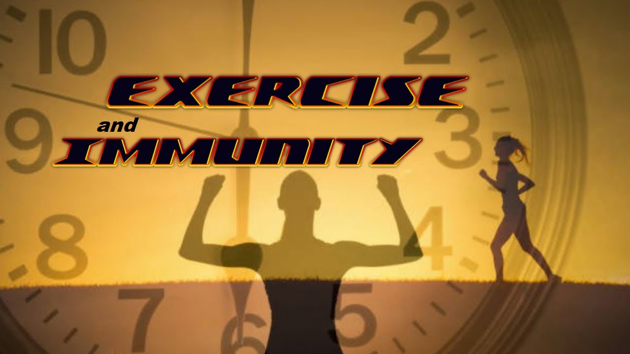 Exercise and Immunity - YouTube