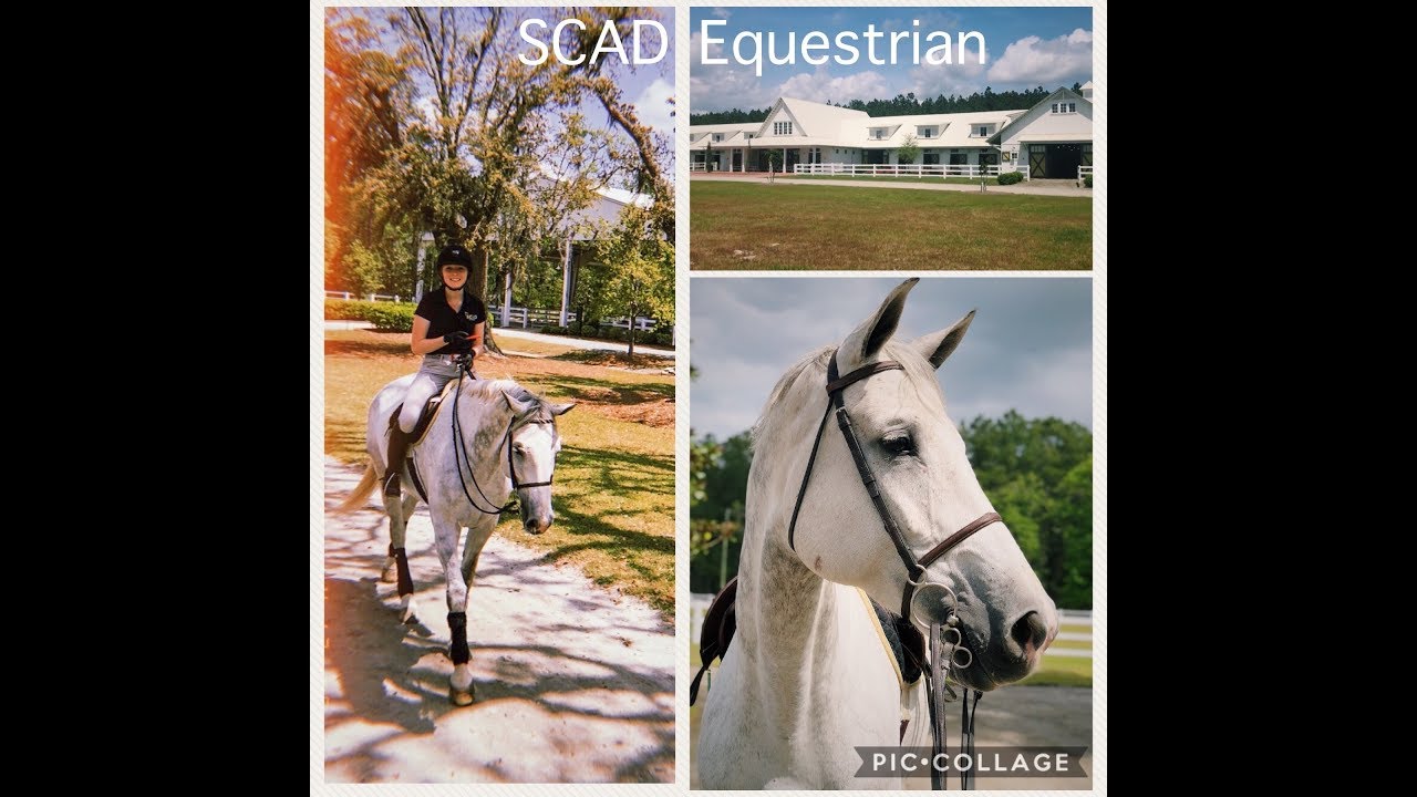 SCAD Equestrian Barn Vlog - YouTube