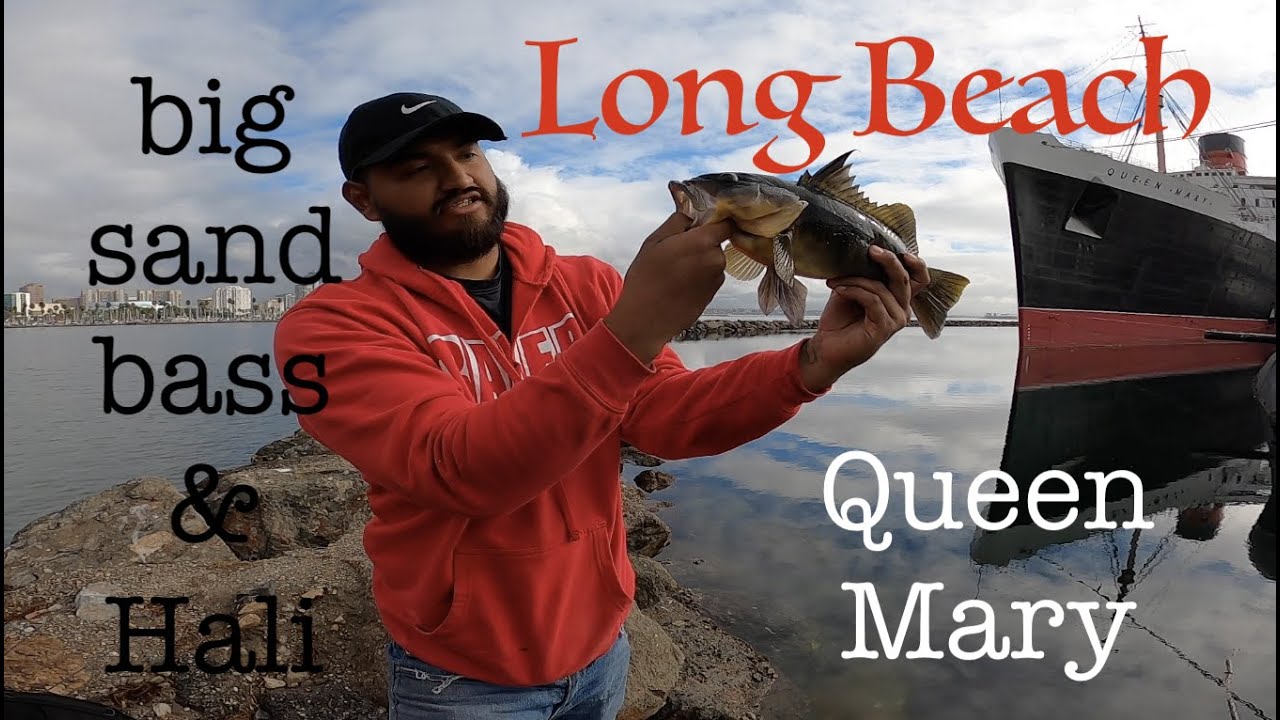 Long Beach Fishing Queen Mary big fish - YouTube