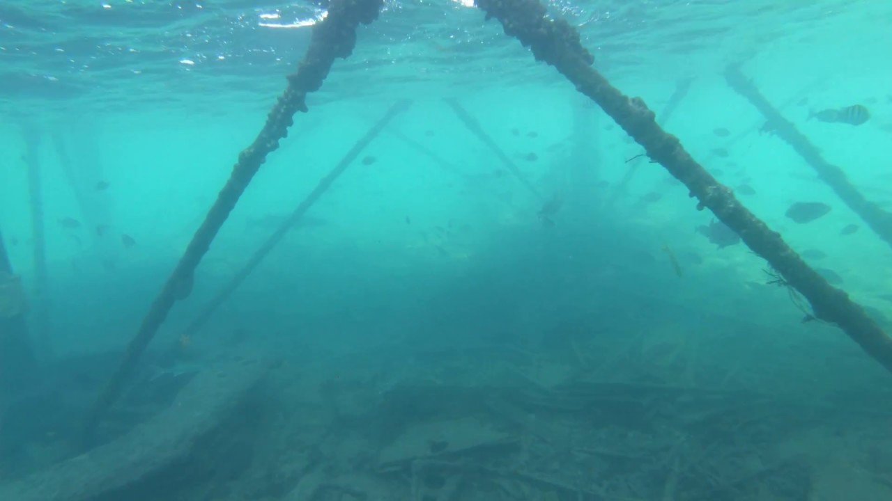 Huge Barracuda hanging out at Fowey Rock Lighthouse - YouTube