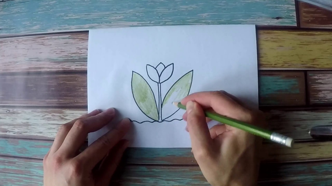 Kako da nacrtam? | Lala cvet | s01e12 - YouTube