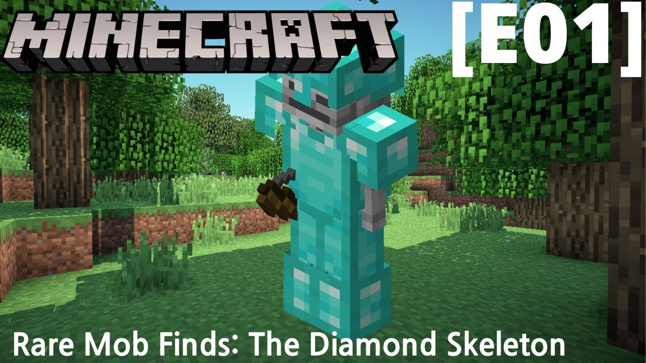 Rare Mob Finds [E01]: The Diamond Skeleton - Minecraft - YouTube