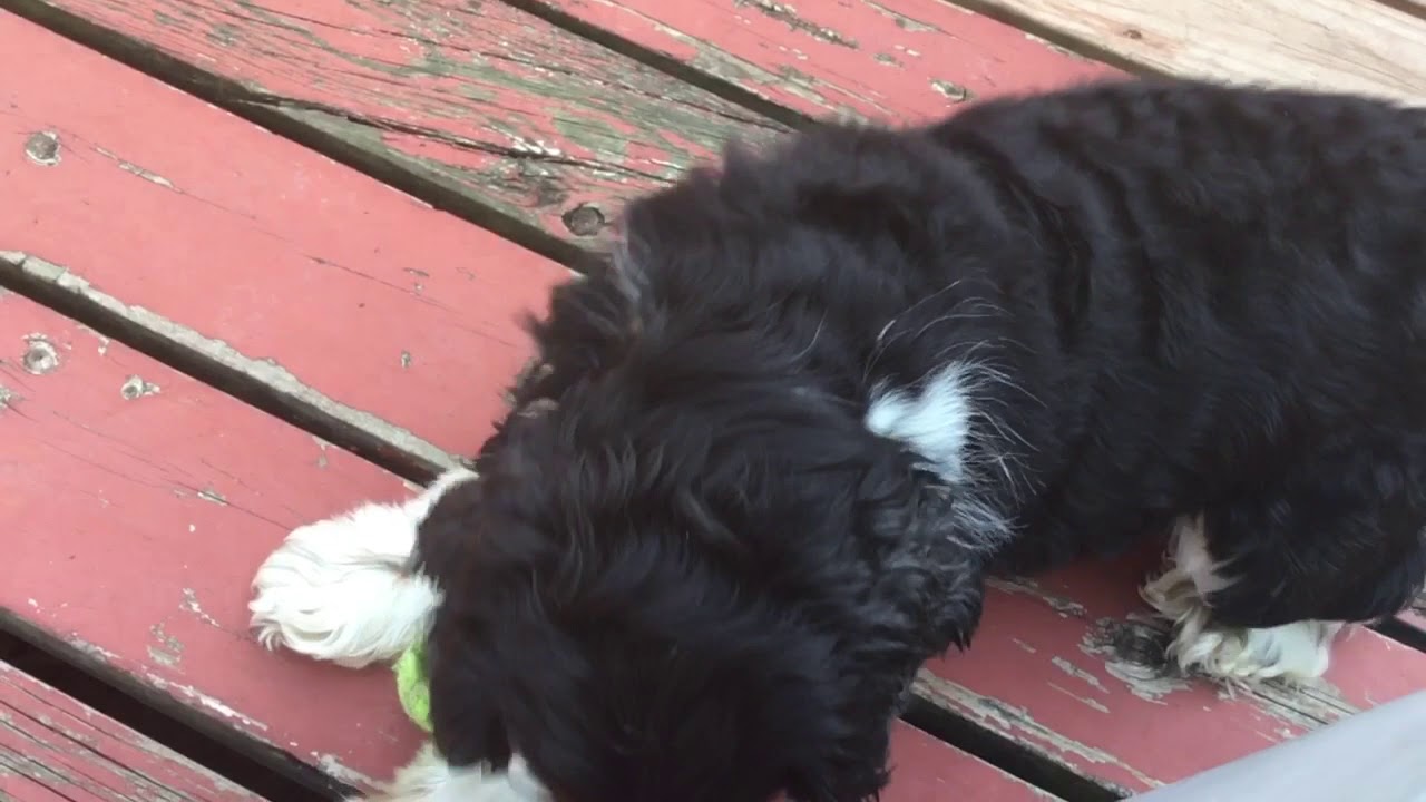 Screaming in SLOW MOTION - YouTube