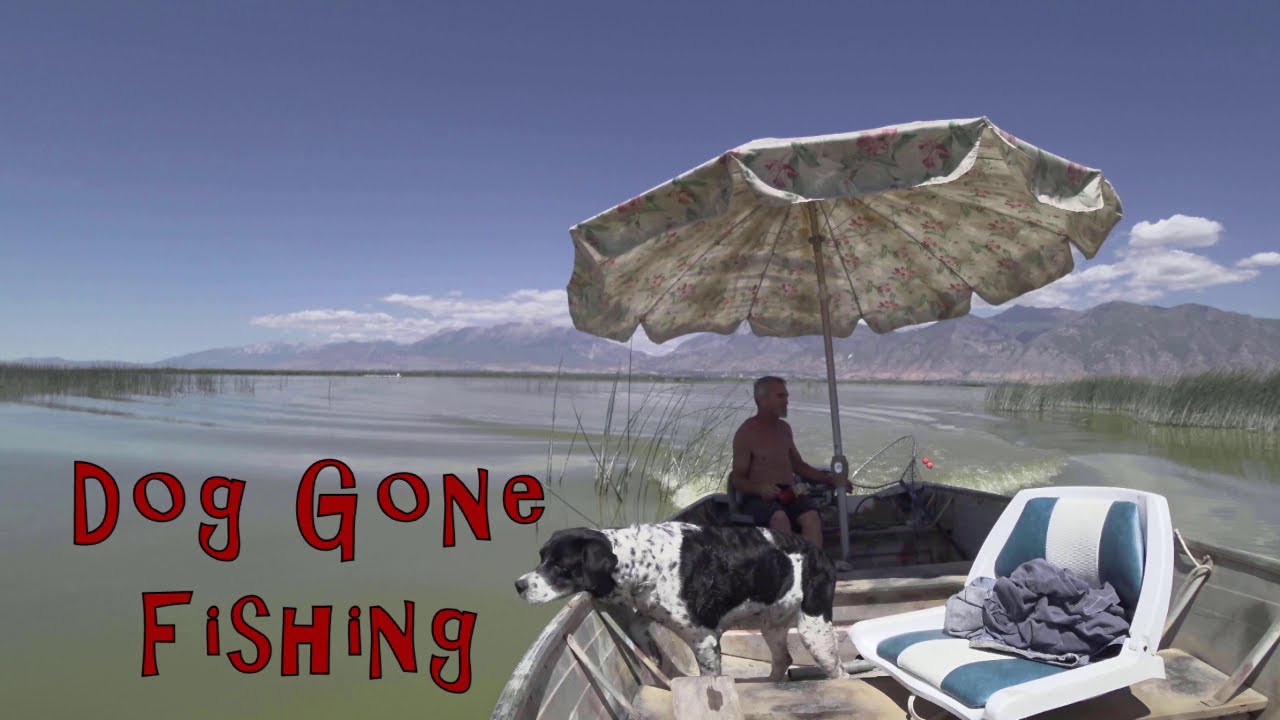 Fishing for Channel Catfish with My Dog - Dog Fishing for Cats - YouTube