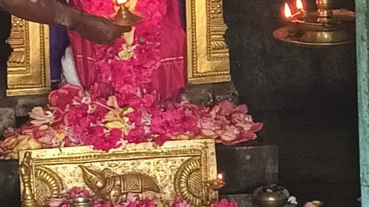 sri ananda mahaganapathi pooja on 6\11\24 - YouTube