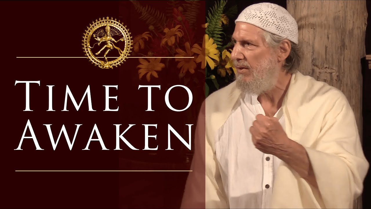 The 7 Stages of Death and Rebirth—Self-Realization in a Morphing World ...