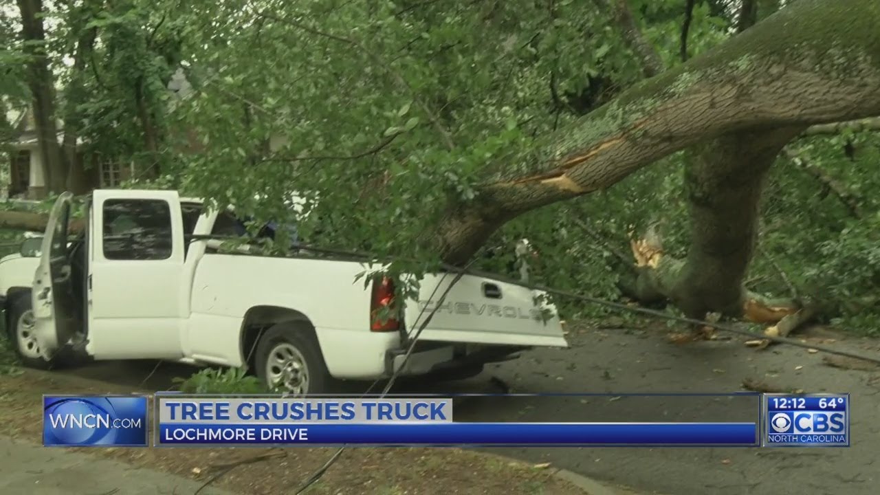 Tree crushes truck in Raleigh, takes down power lines - YouTube