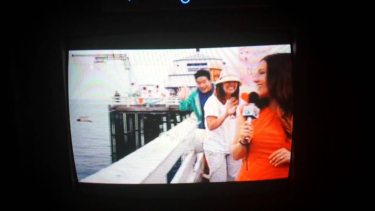 Snuffy the Seal Shark Week Commercial - YouTube