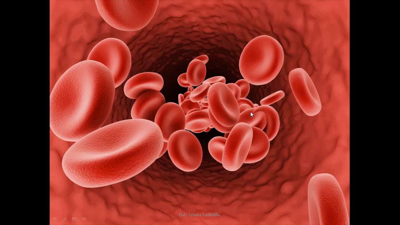 Tríade Letal - Parte 1 - YouTube