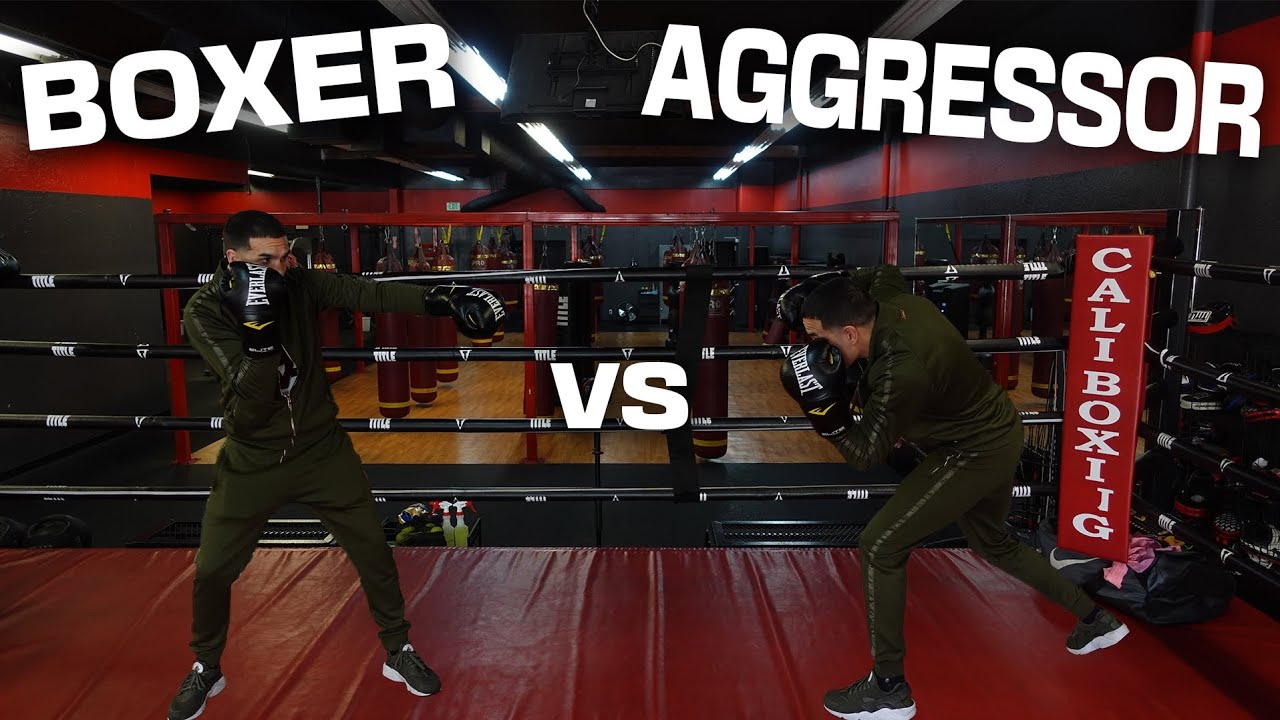 Boxer Vs Aggressor - YouTube